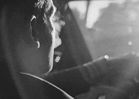 Twd Cast GIFs - Find & Share on GIPHY