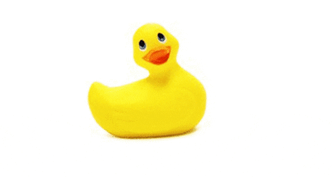 Duck GIFs - Find & Share on GIPHY