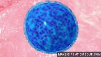 Cell GIF - Find & Share on GIPHY