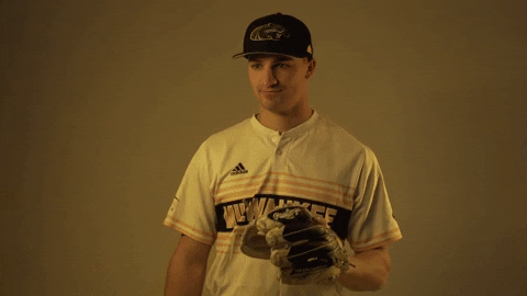 Mke GIF by Milwaukee Panthers - Find & Share on GIPHY