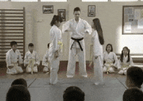 Karate Falling GIF - Find & Share on GIPHY