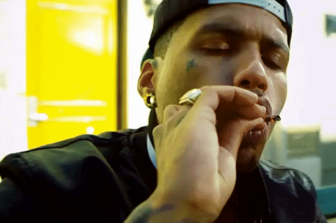 Kid Ink Mind Of A Stoner GIF by Machine Gun Kelly - Find & Share on GIPHY
