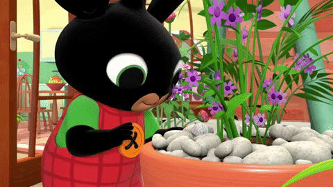 Flower Magic GIF by Bing Bunny - Find & Share on GIPHY