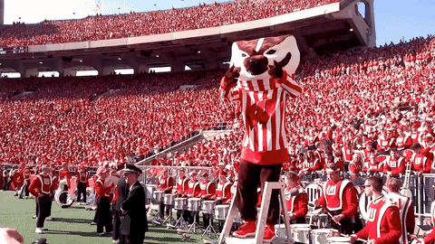 Wisconsin Bucky GIF by uwmadison - Find & Share on GIPHY