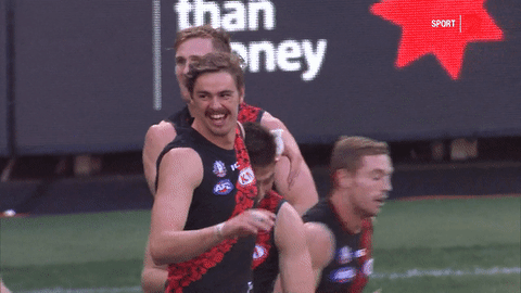 Aussie Rules Smile GIF by Essendon FC - Find & Share on GIPHY