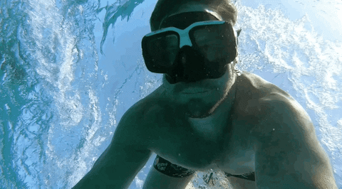 Nbc Swimming GIF by 1st Look - Find & Share on GIPHY