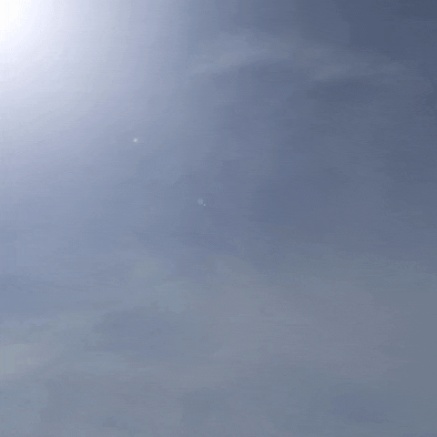 Summer Sun GIF by ZinZen - Find & Share on GIPHY