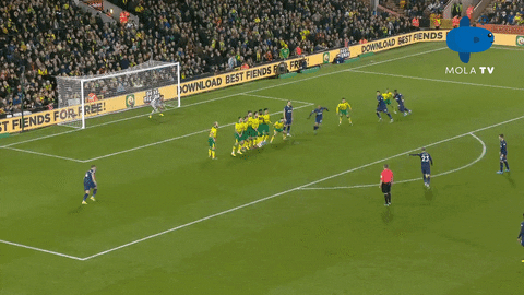 Norwichcity GIF by MolaTV - Find & Share on GIPHY