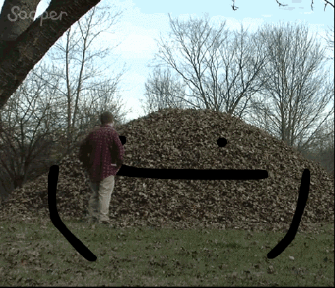 Random GIF - Find & Share on GIPHY