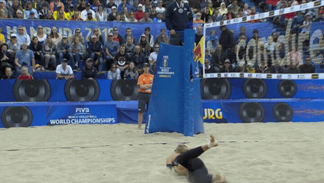 GIF by Volleyball World - Find & Share on GIPHY