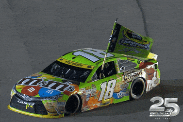 Celebrate Kyle Busch GIF by Homestead-Miami Speedway - Find & Share on ...