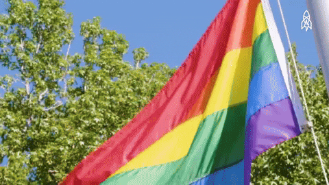Gay Pride GIF by Great Big Story - Find & Share on GIPHY