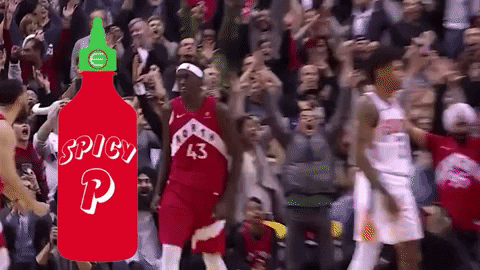 Toronto Raptors GIF by EliteSportsTours - Find & Share on GIPHY
