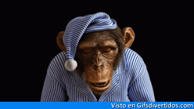 Divertidos GIF - Find & Share on GIPHY