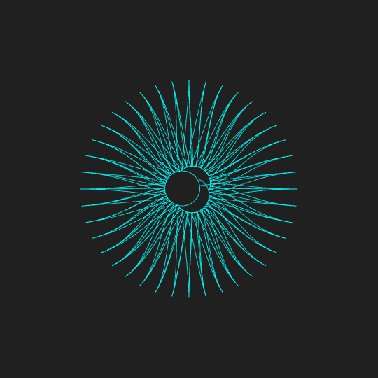 Processing Perfect Loop GIF - Find & Share on GIPHY