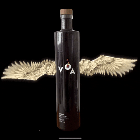 Drink GIF by VOA Vodka - Find & Share on GIPHY