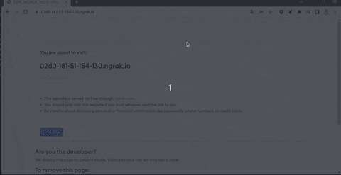 How to use ngrok - Juan Botero Tech