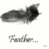 Feather GIF - Find & Share on GIPHY
