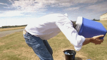 Dumping Water On Head GIFs - Find & Share on GIPHY