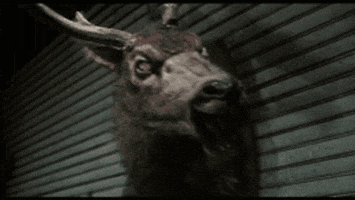 Sleep It Off Evil Dead GIF - Find & Share on GIPHY