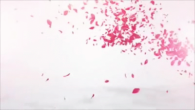Petals GIF - Find & Share on GIPHY