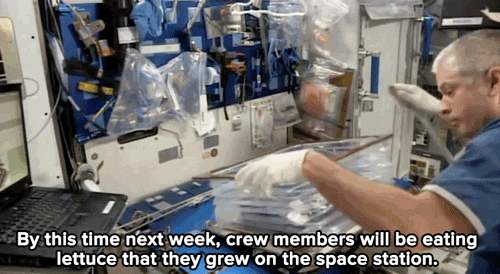 Cosmonaut Space Food A Coffee Cup To Let Astronauts Sip Espresso In
