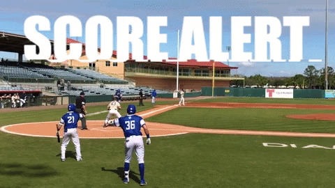 Saint Louis Slu GIF by slubillikens - Find & Share on GIPHY