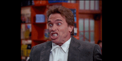 Arnold Schwarzenegger GIF - Find & Share on GIPHY