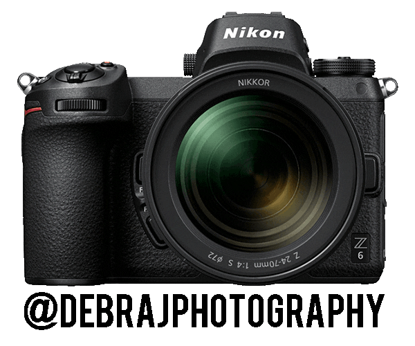 Nikon Debrajphotographynikon Sticker by NikonIndia for iOS & Android ...