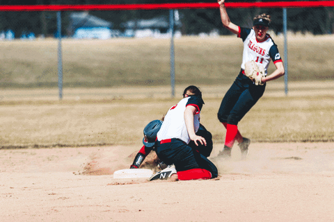 Athletics Softball GIF by MSUM Dragons - Find & Share on GIPHY