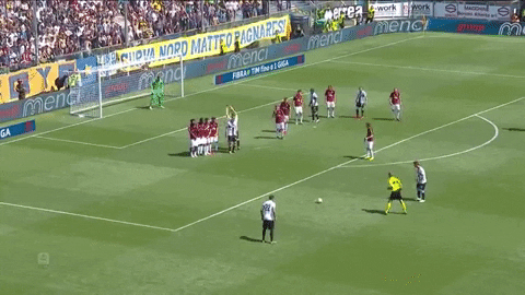 Parma Calcio 1913 GIF - Find & Share on GIPHY