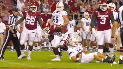 College Football GIF by Arkansas Razorbacks - Find & Share on GIPHY