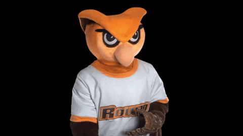 Ncaa Mascot GIF by Rowan University - Find & Share on GIPHY
