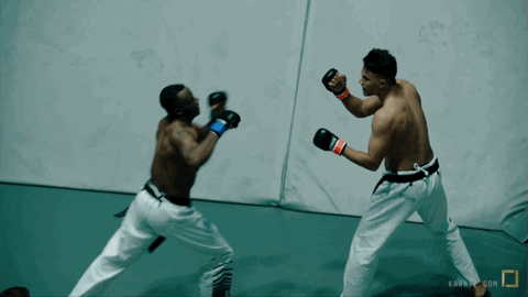 Karate Combat GIF - Find & Share on GIPHY