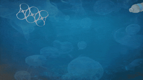 GIF by Monty Python - Find & Share on GIPHY