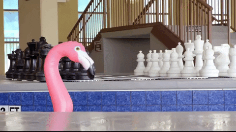 Myrtle Beach Games GIF by North Beach Plantation - Find & Share on GIPHY