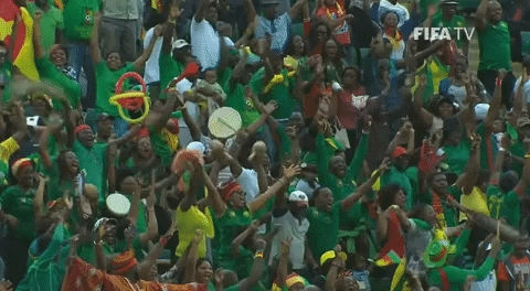 2015 Fifa Womens World Cup Football GIF - Find & Share on GIPHY