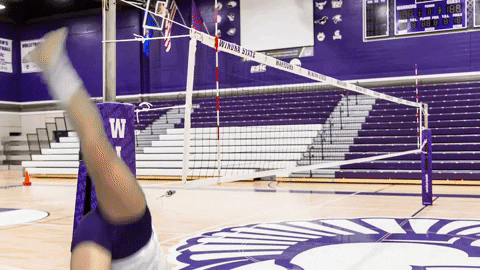 Warriors Volleyball GIF by WinonaStateATH - Find & Share on GIPHY