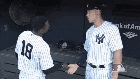 Major League Baseball Yankees 2019 GIF by New York Yankees - Find ...