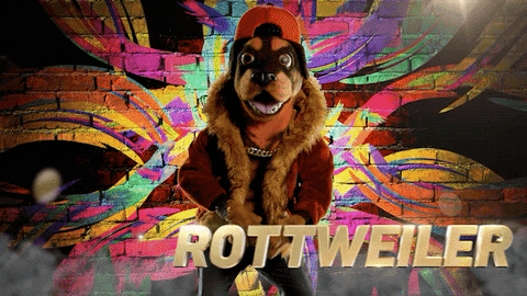 Fox GIF by The Masked Singer - Find & Share on GIPHY