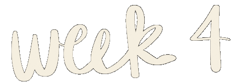 Quarantine Week 4 Sticker for iOS & Android | GIPHY