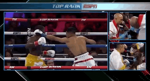 Top Rank Boxing GIF - Find & Share on GIPHY
