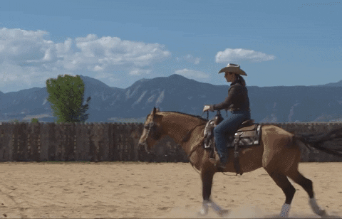 Trotting GIFs - Find & Share on GIPHY