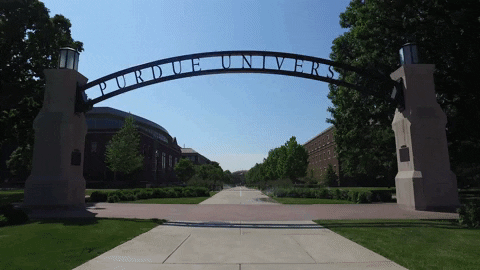 Black And Gold Boilermakers GIF by Purdue University - Find & Share on ...