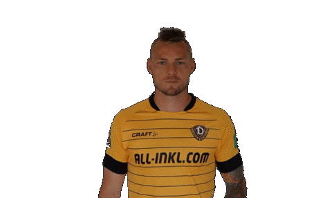SG Dynamo Dresden Sticker for iOS & Android | GIPHY