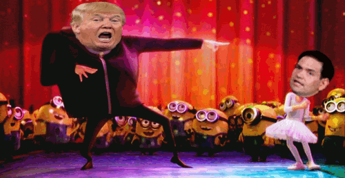 Partying GIFs - Find & Share on GIPHY