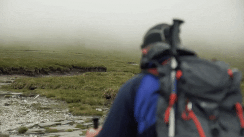 Walking GIF by Culture Vannin - Find & Share on GIPHY