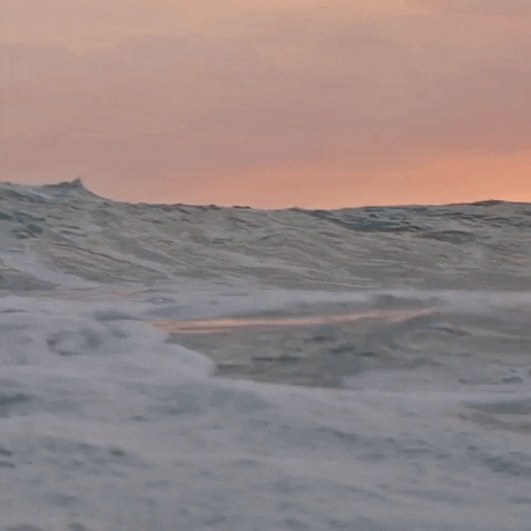 Costa Rica Surf GIF by Chris - Find & Share on GIPHY
