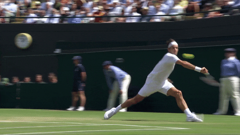 Fall Tennis GIF by Wimbledon - Find & Share on GIPHY