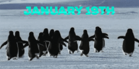 January 19 By GIF - Find & Share on GIPHY